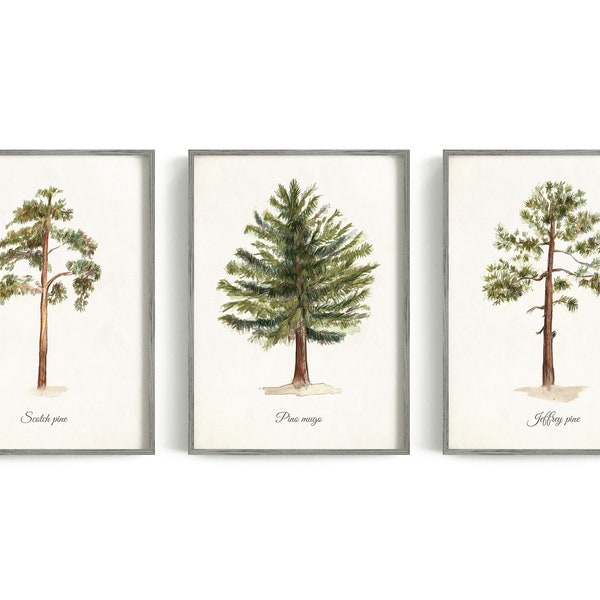 Evergreen Forest Wall Art - Etsy