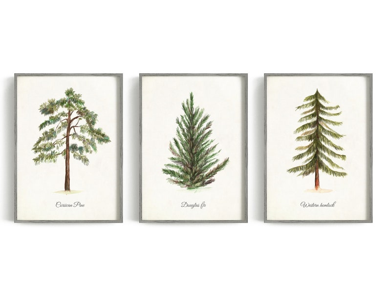 Pine Trees Print Evergreens Trees Poster Forest Wall Art - Etsy