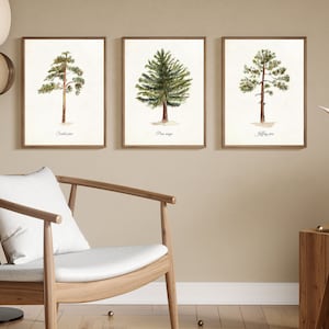Trees Poster, Forest Print, Pine Trees Print, Trees Wall Art ...