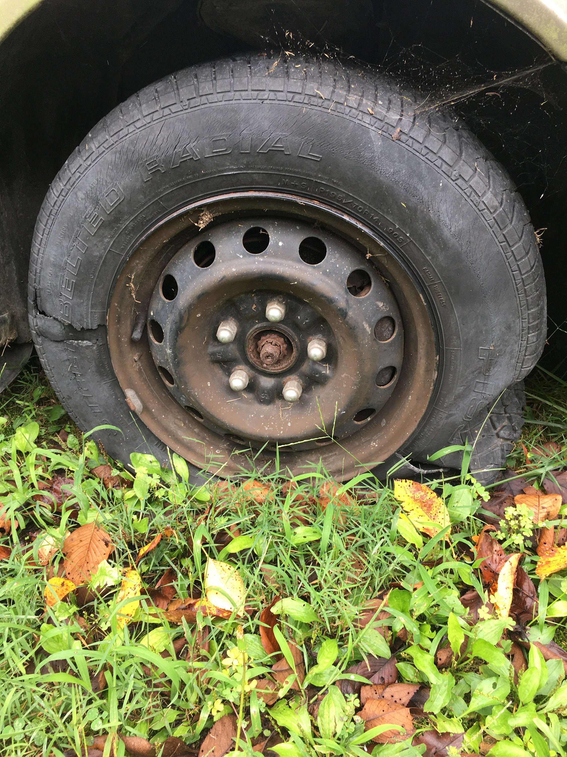 4 Pack of Roman-inspired Caltrops Forged From a SINGLE Piece - Etsy ...