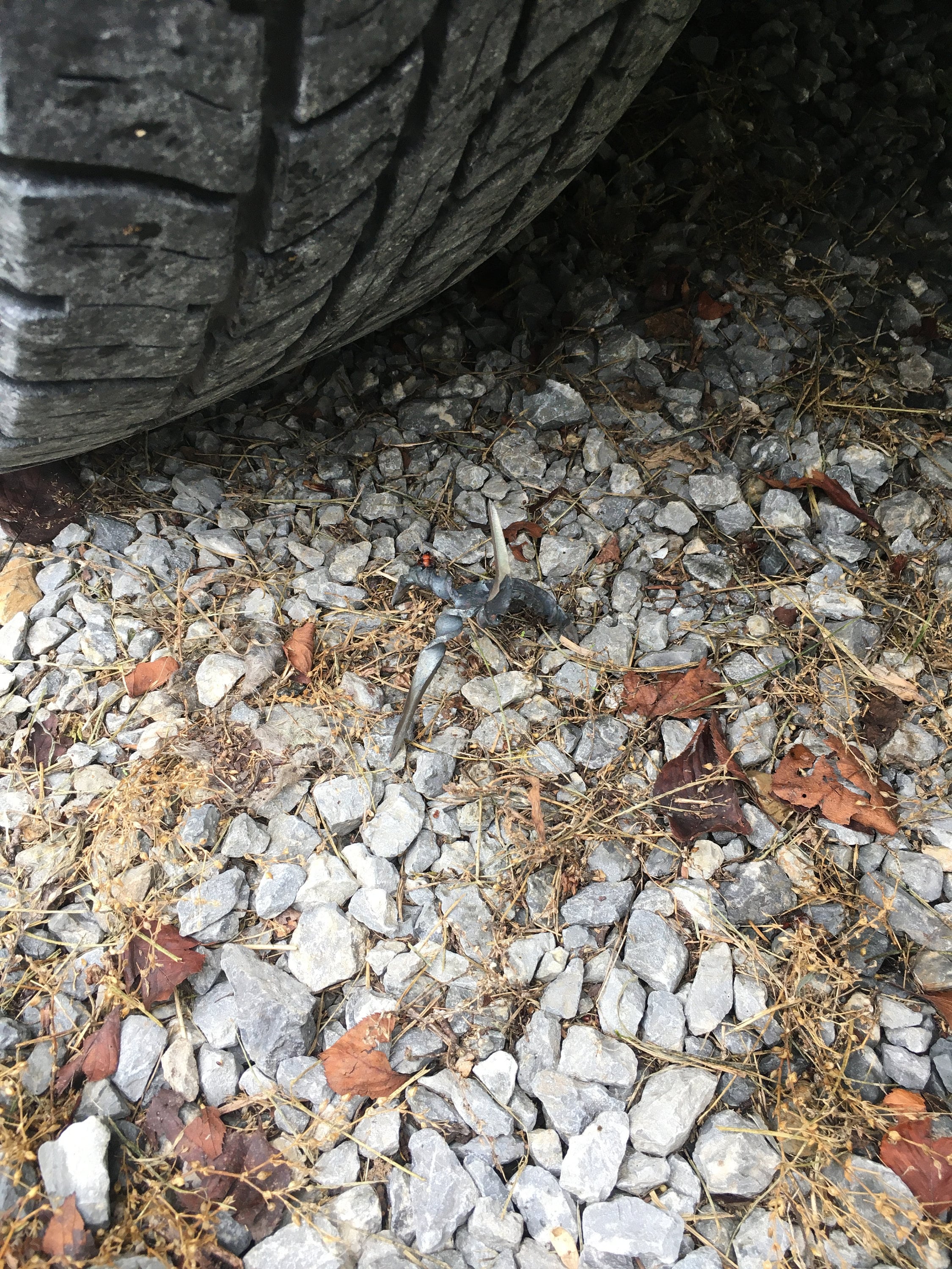 4 Pack of Roman-inspired Caltrops Forged From a SINGLE Piece - Etsy ...