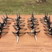 24 Pack of Hand-forged Twisted Caltrops - Etsy