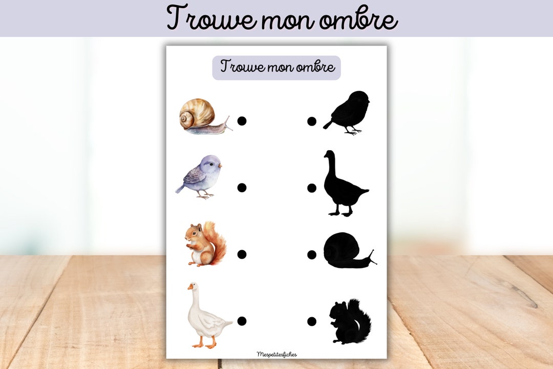 Find My Shadow, Kindergarten Learning Support Resource, Educational ...