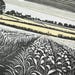 Original Linocut "norfolk Field in Summer", Landscape, Summer, View ...