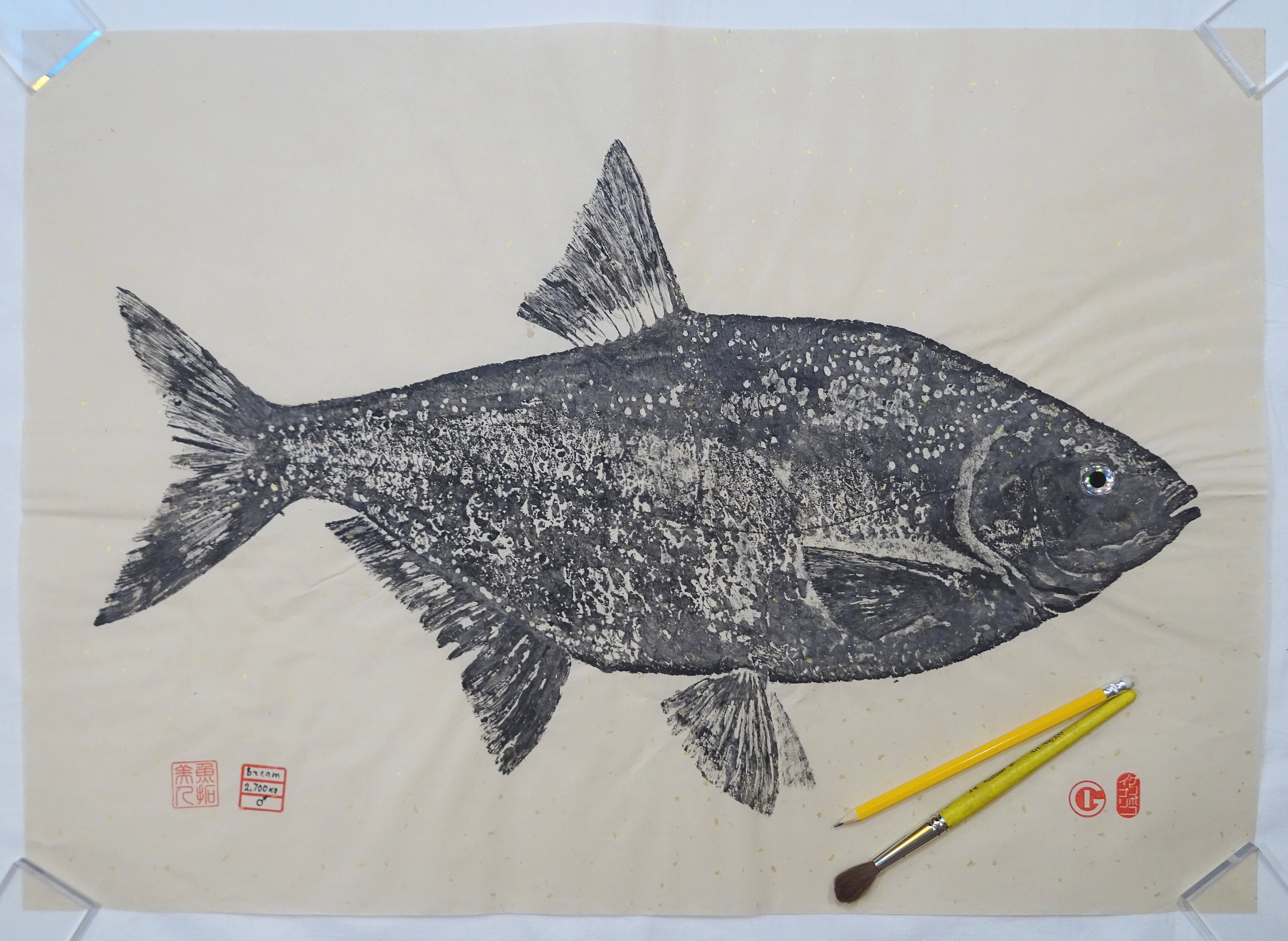 Gyotaku Original, Huge Bream Fish Print, Fish Print, Nature Decor ...