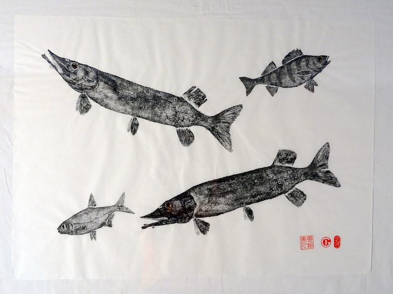 Pike Fish Print, Gyotaku Original, Perch Print, Nature Decor, Fish ...