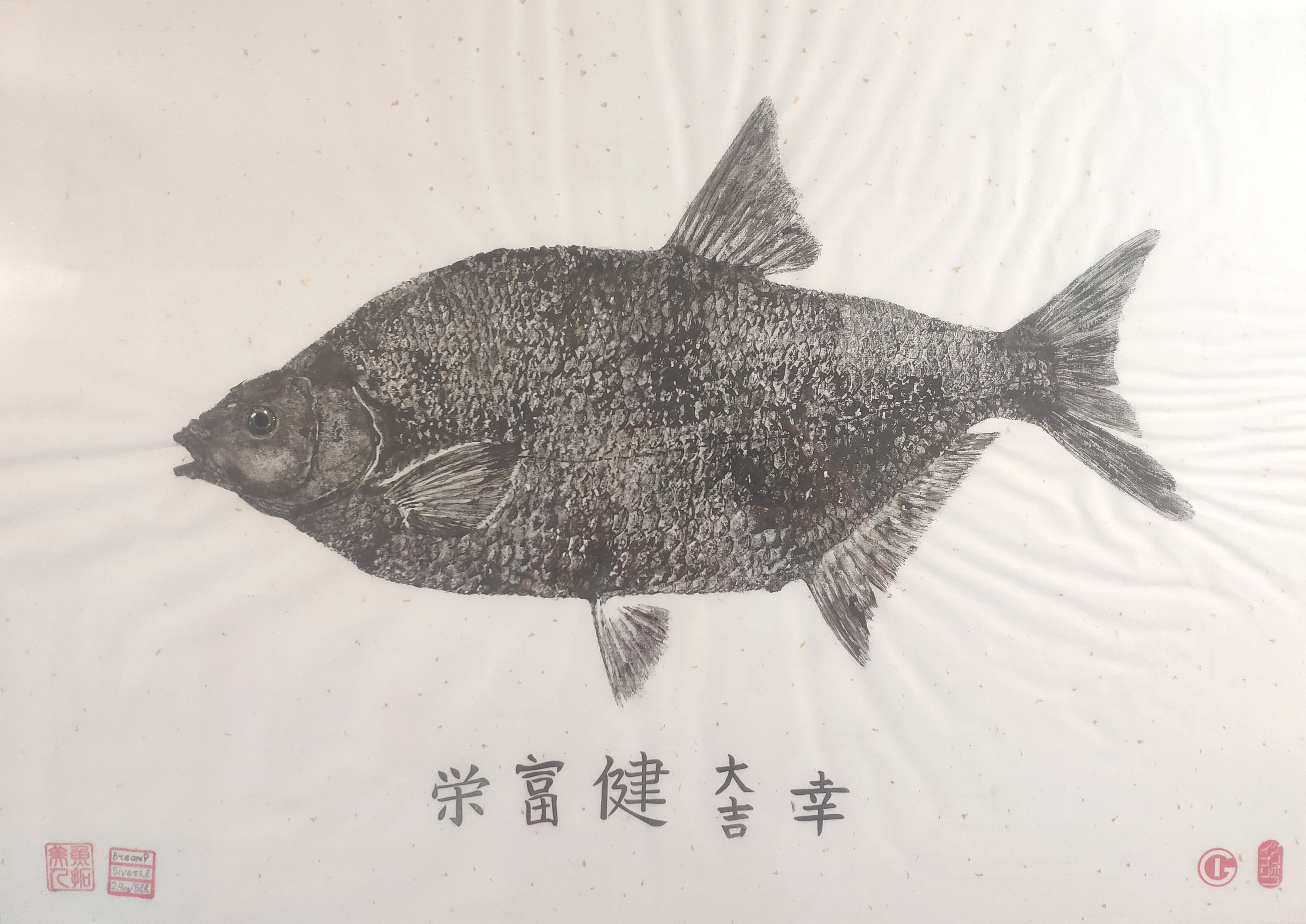 Huge Bream Fish Print, Gyotaku Original, Fish Print, Nature Decor ...