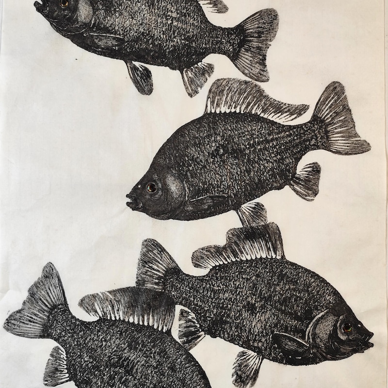 Gyotaku Fish Print - Etsy