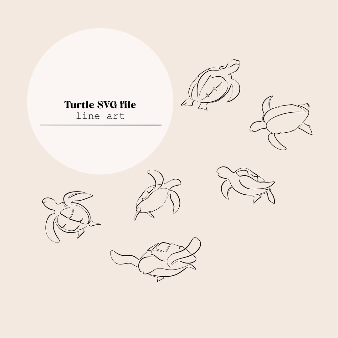 Turtle Line Art | Sea Turtle |water Ocean Animals | Digital Download ...