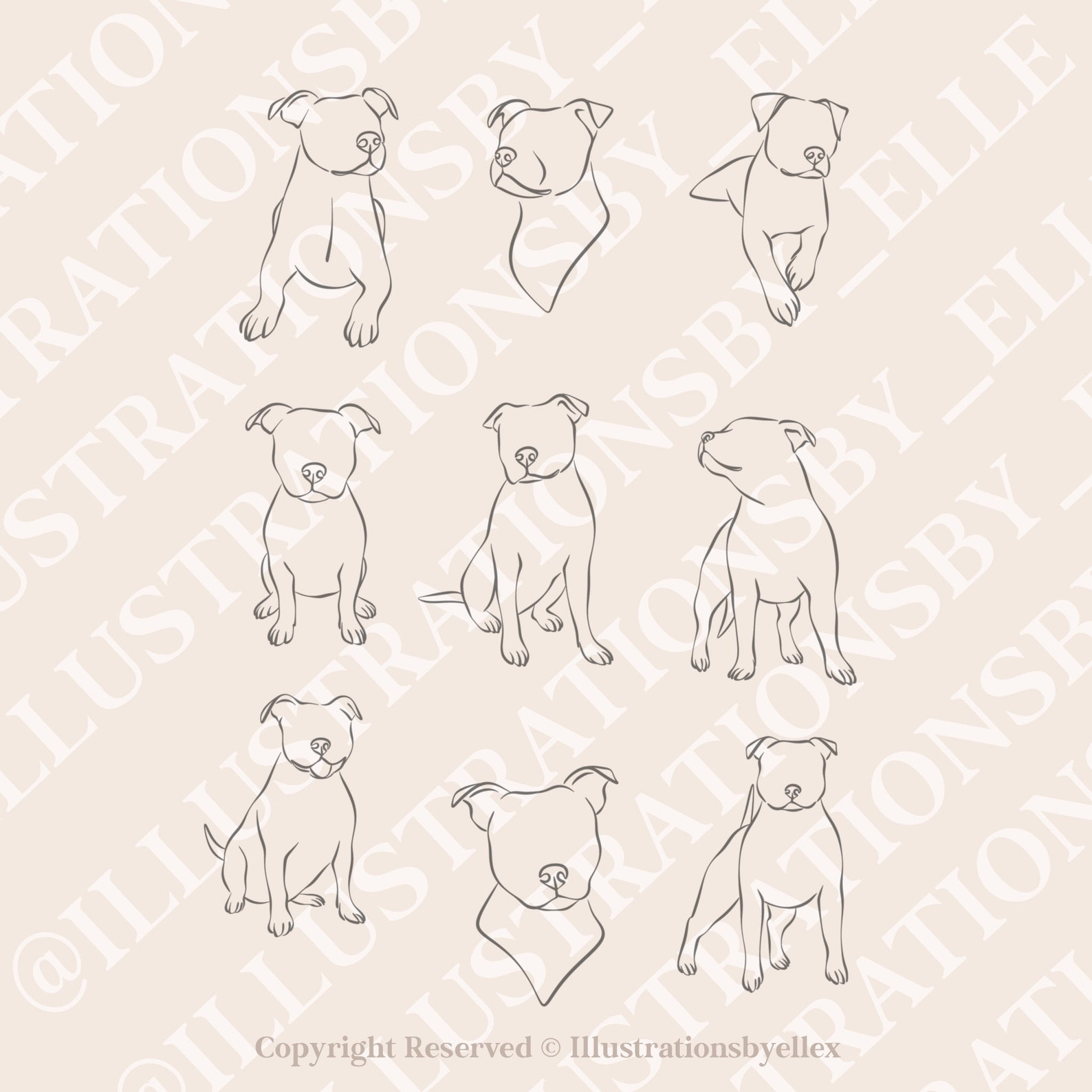 Staffy Dog Puppy Line Art | Dog Puppies Line Drawing | English Staffy ...