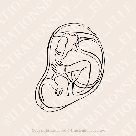 Baby In The Womb Drawing