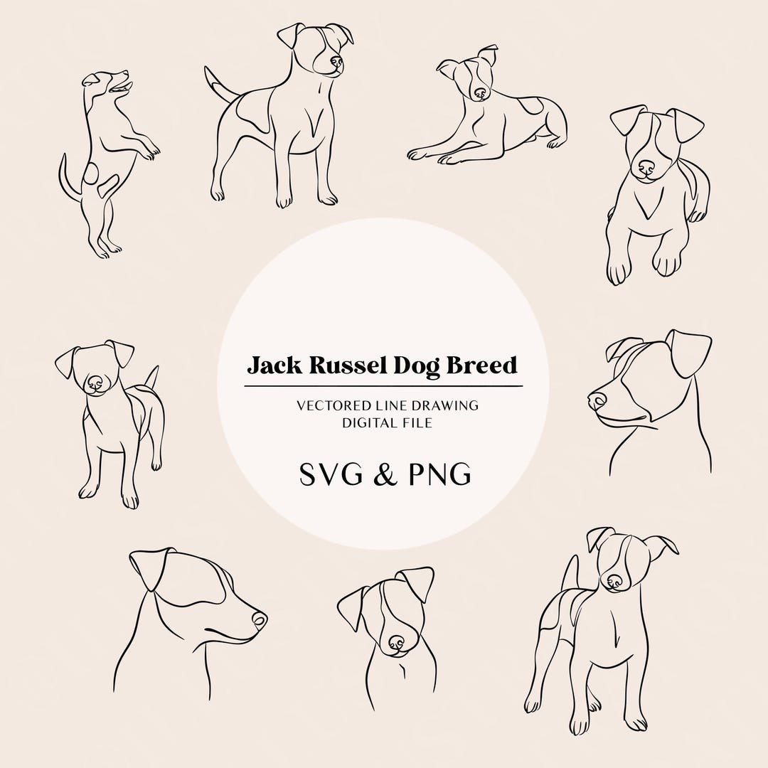 Jack Russel Dog Line Art | Dog Puppies Line Drawing | Jack Russel Dog ...