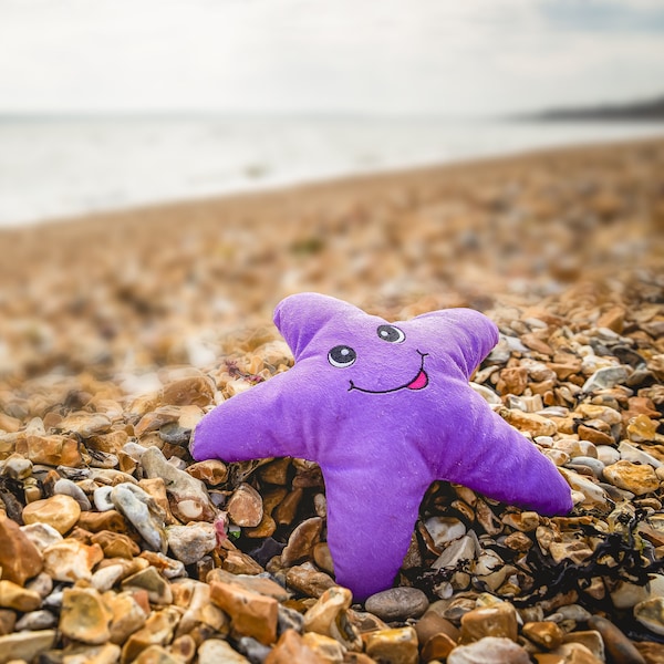 Starfish Toy - Etsy