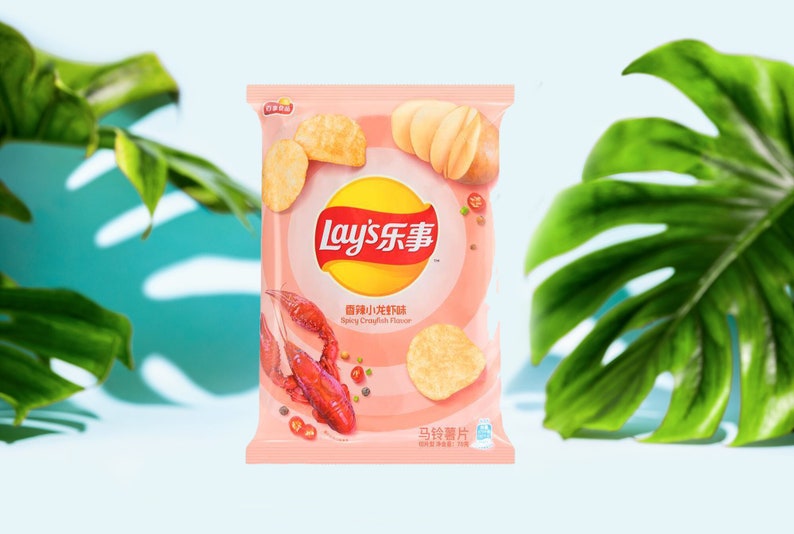 Exotic Lay's Chips Flavors Korean Snacks Japanese - Etsy