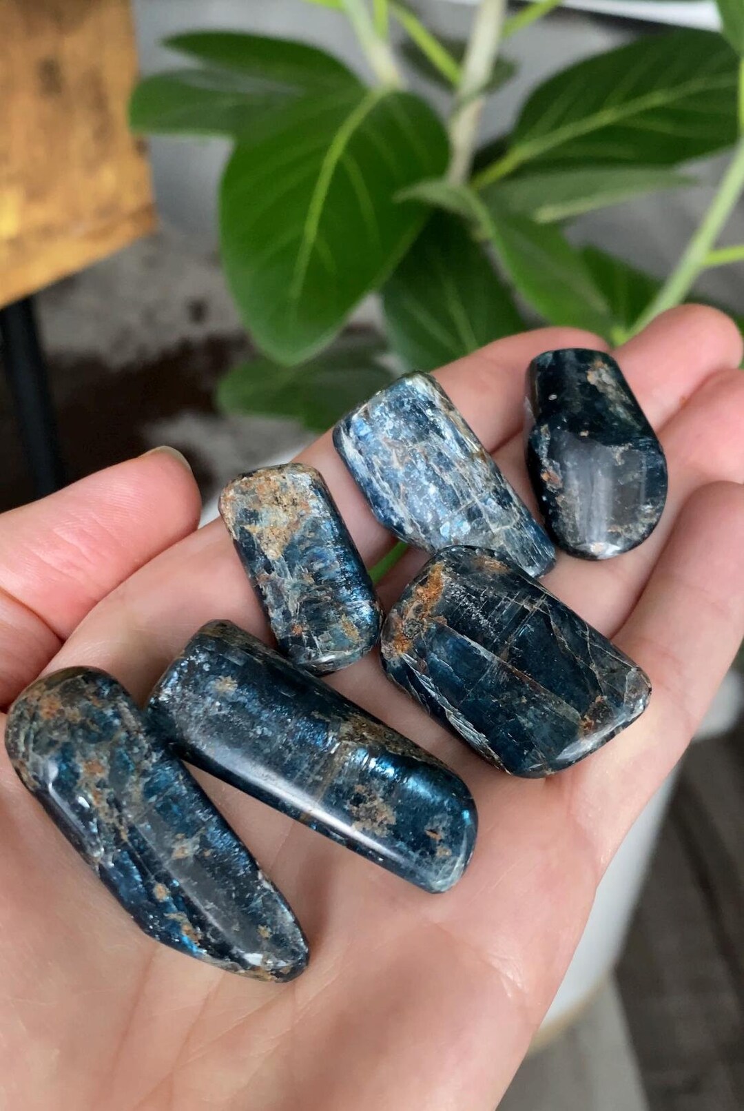 Ocean Blue Tumbled Kyanite - Rare Indian Kyanite - Throat Chakra - Alta ...
