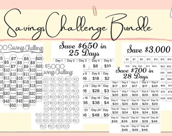 Budget Challenge Bundle, Budget Tracker Bundle, Budget Tracker ...