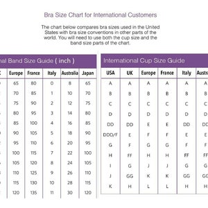 Medieval Chainmail Fancy Lingerie Set Aluminium Butted Ring Unique ...