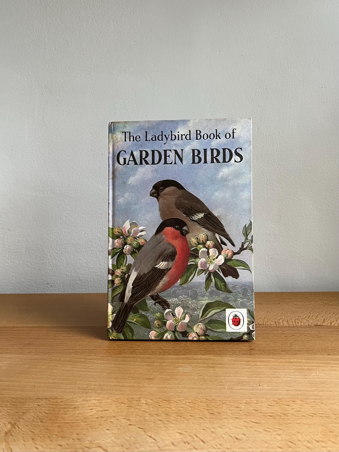 The Ladybird Book of Garden Birds Early Edition - Etsy