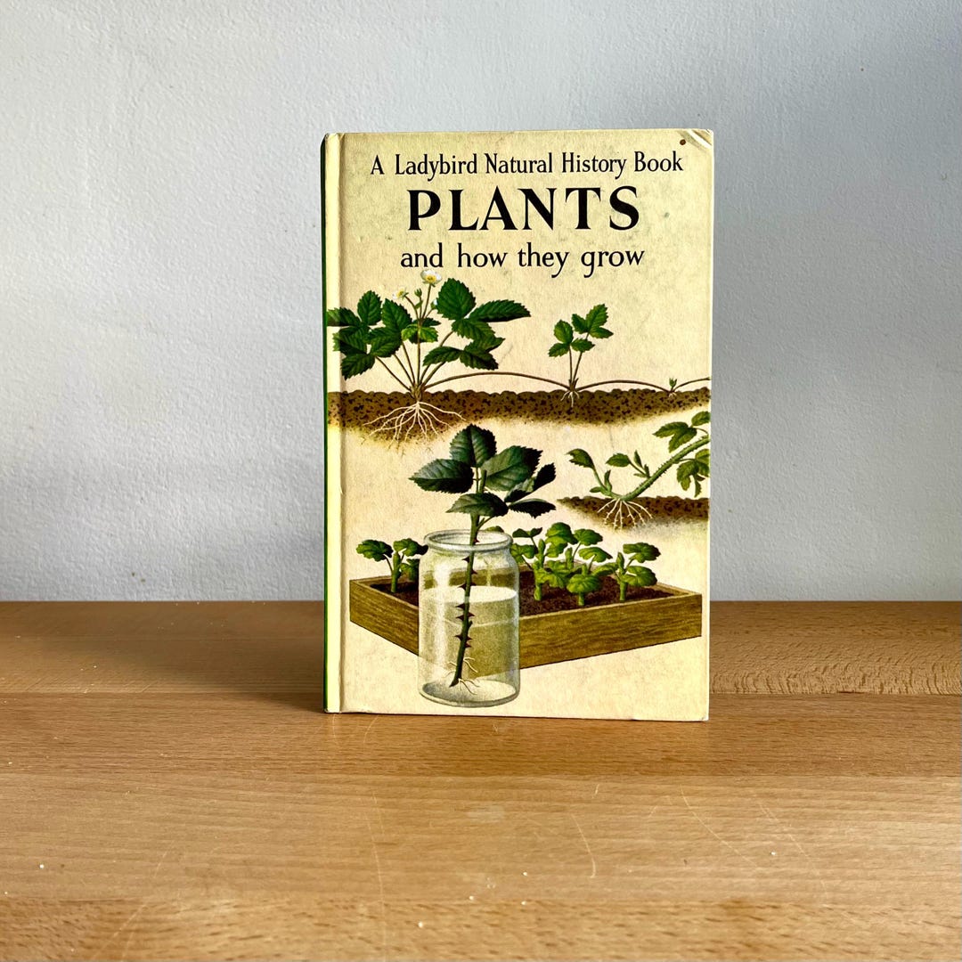 A Ladybird Natural History Book Plants and How They Grow 1960s Edition ...