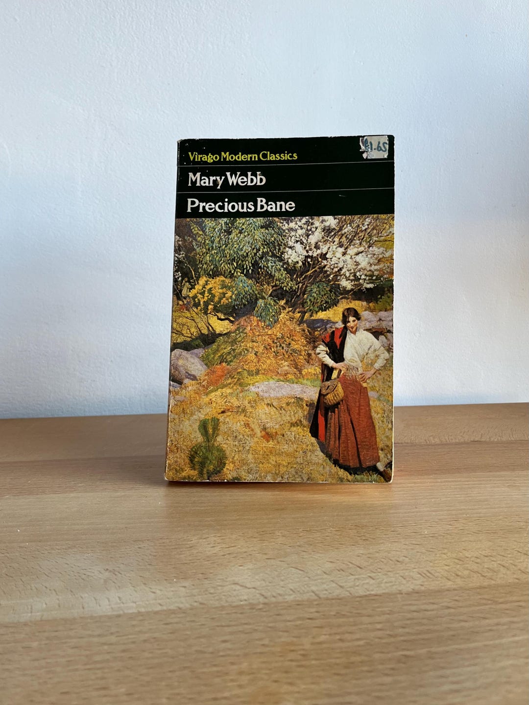 Precious Bane by Mary Webb Virago Modern Classic - Etsy
