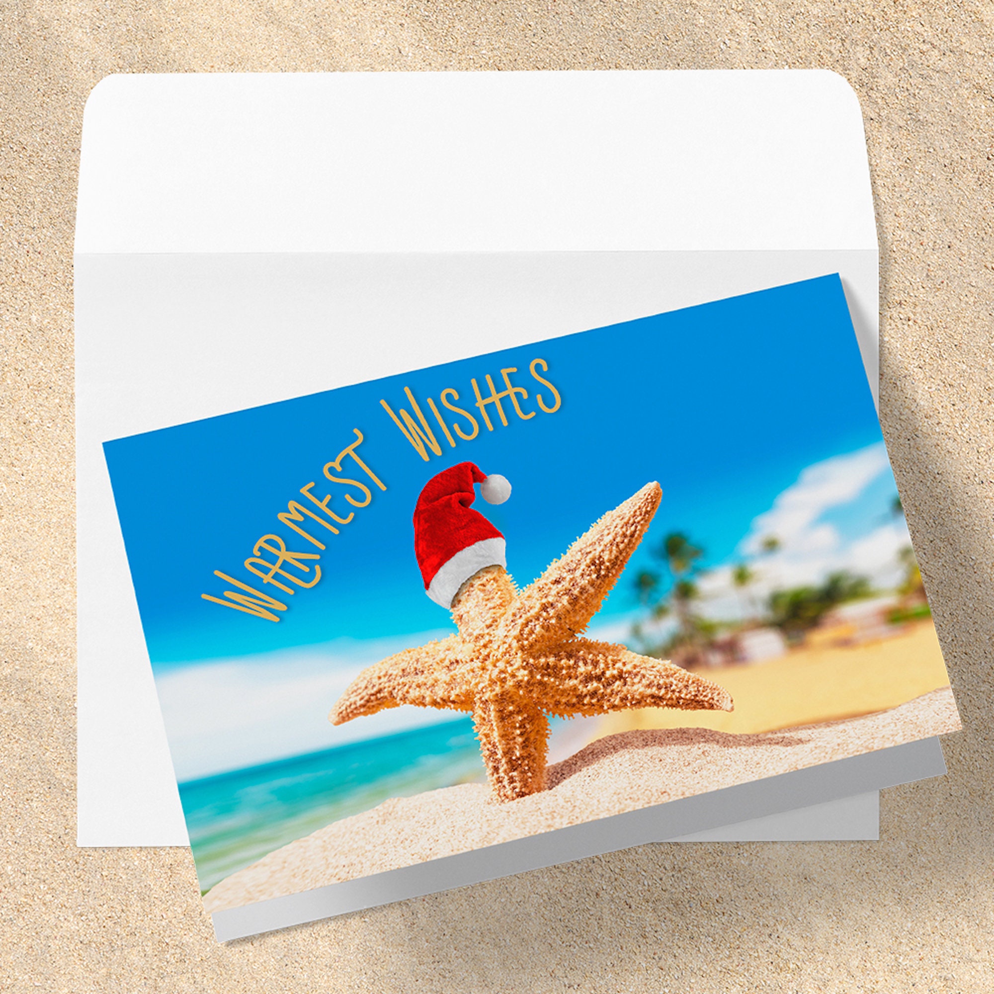 Christmas Cards, Beach Christmas Cards, Florida Christmas Cards ...