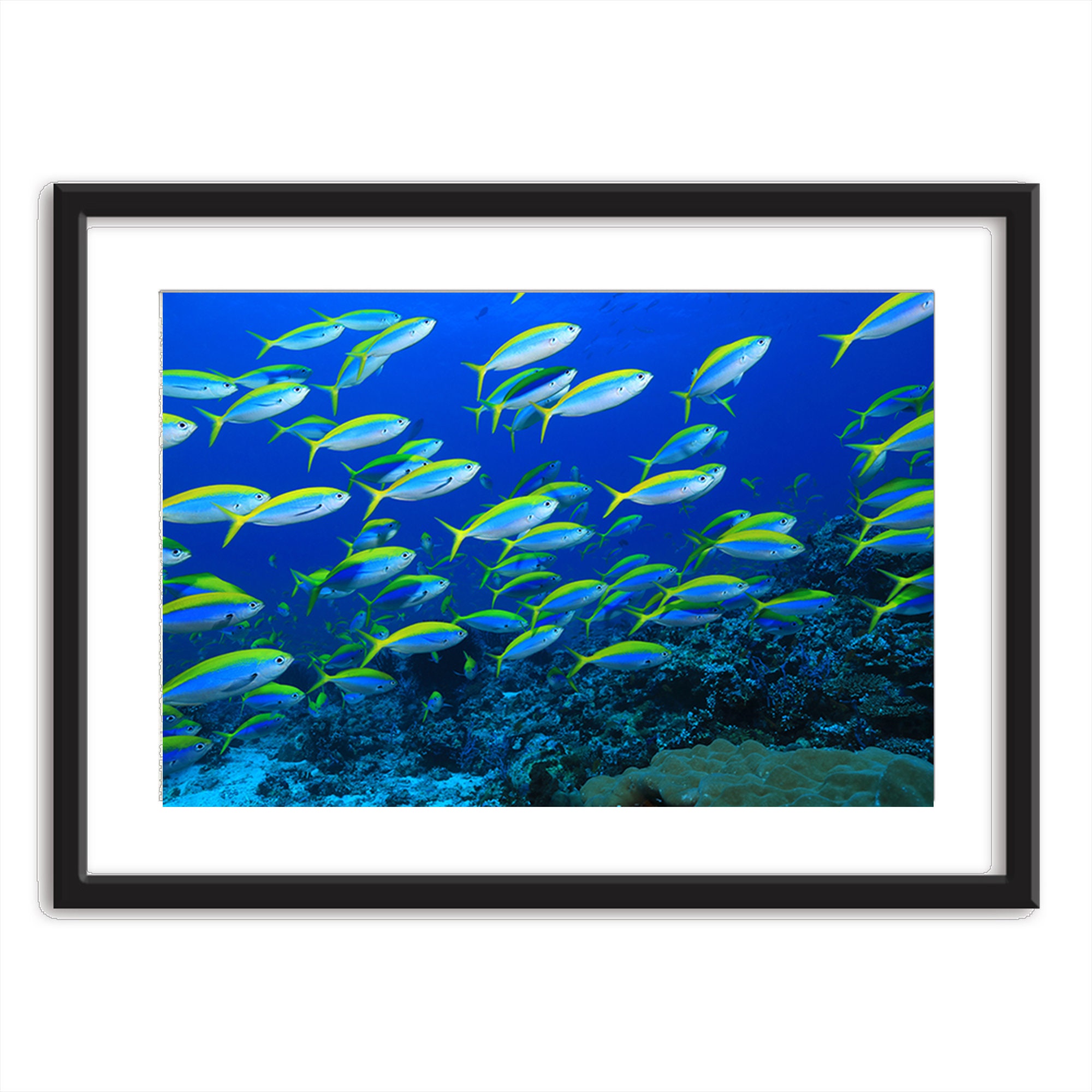 Ocean Fish Wall Art | Ocean Art Print | Ocean Art Painting | Ocean Art ...
