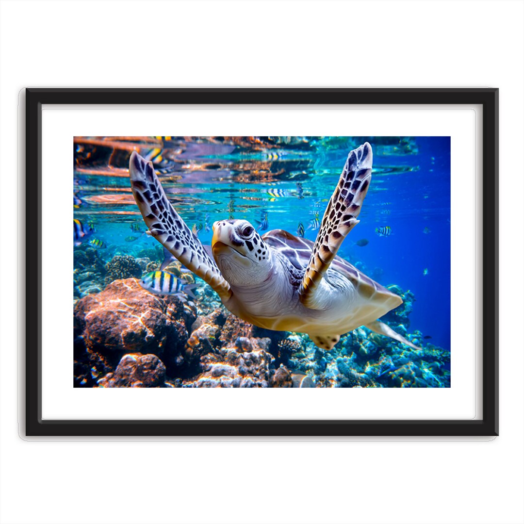 Sea Turtle Wall Art | Ocean Art Print | Ocean Art Painting | Ocean Art ...