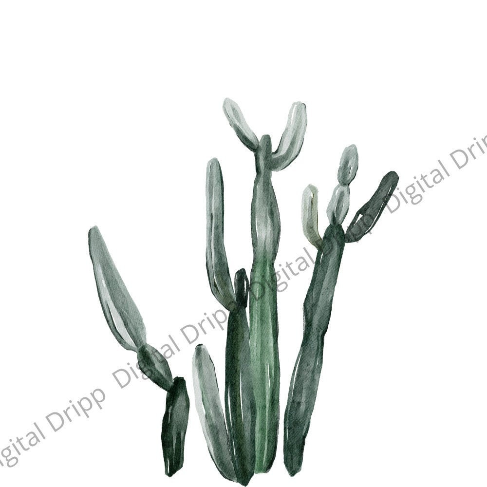 Cactus Print // Arizona // Digital Download // Printable // Cactus ...