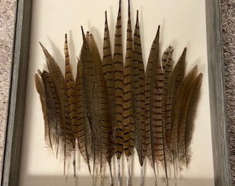 Pheasant Feathers Shadow Box | Etsy