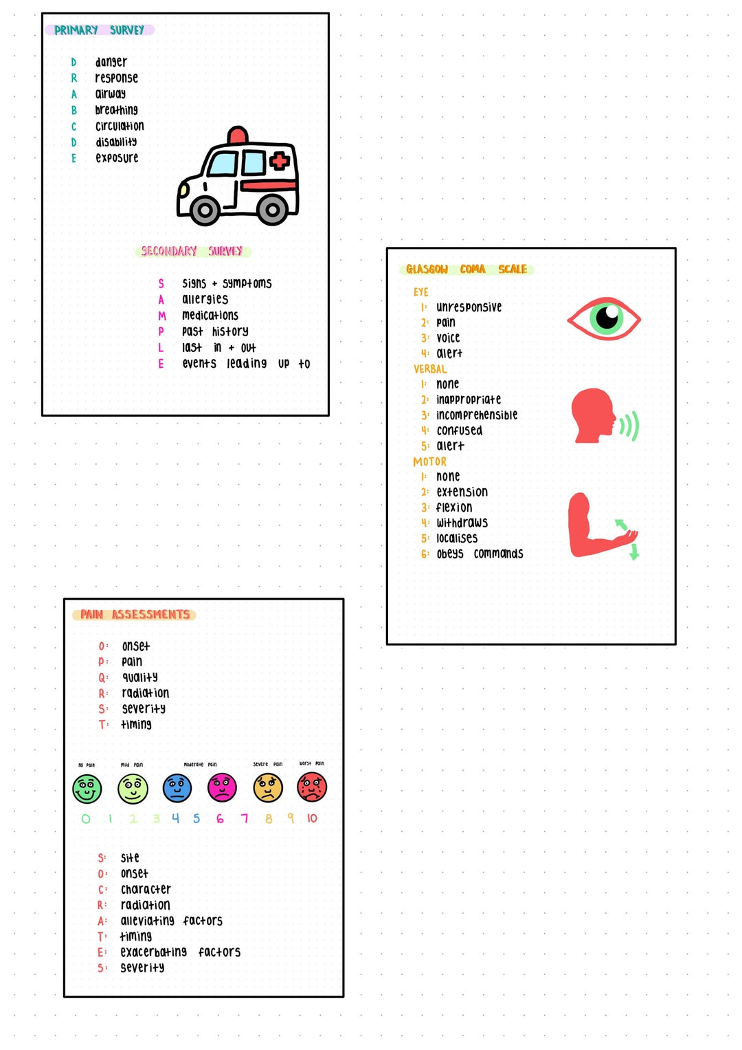 Paramedic Fundamental Notes - Etsy