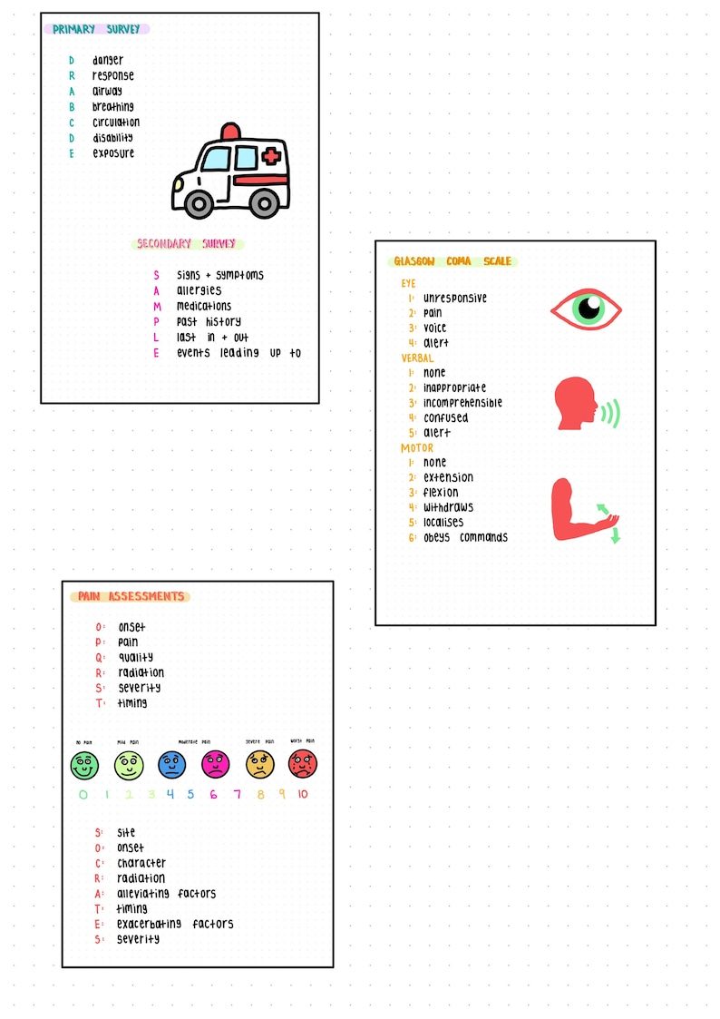 Paramedic Fundamental Notes - Etsy
