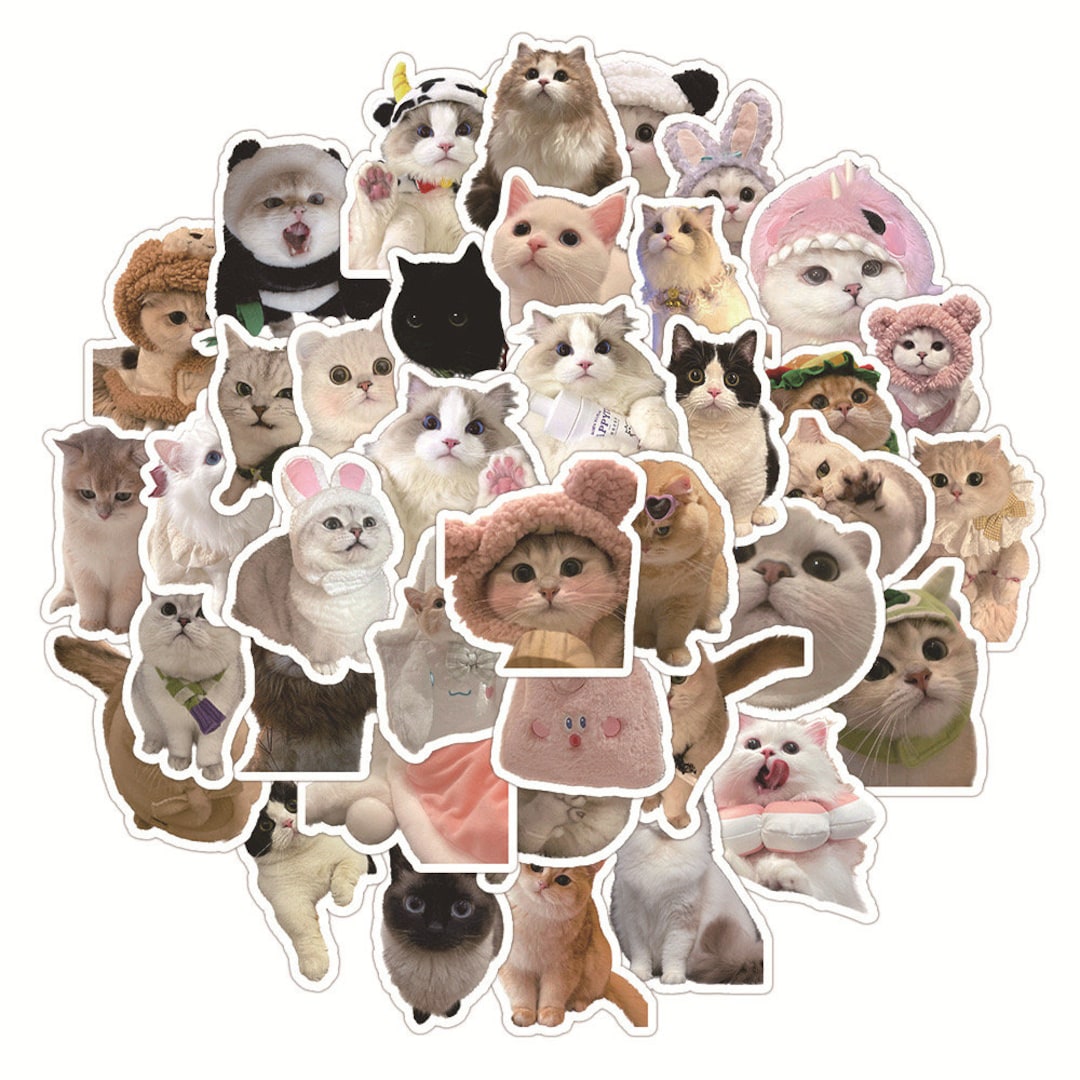 Whimsical Cat/dog Sticker Collection（60 Stickers） - Etsy