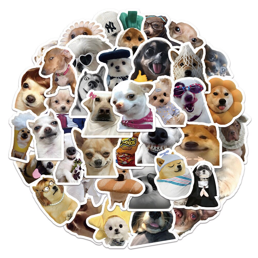 Whimsical Cat/dog Sticker Collection（60 Stickers） - Etsy