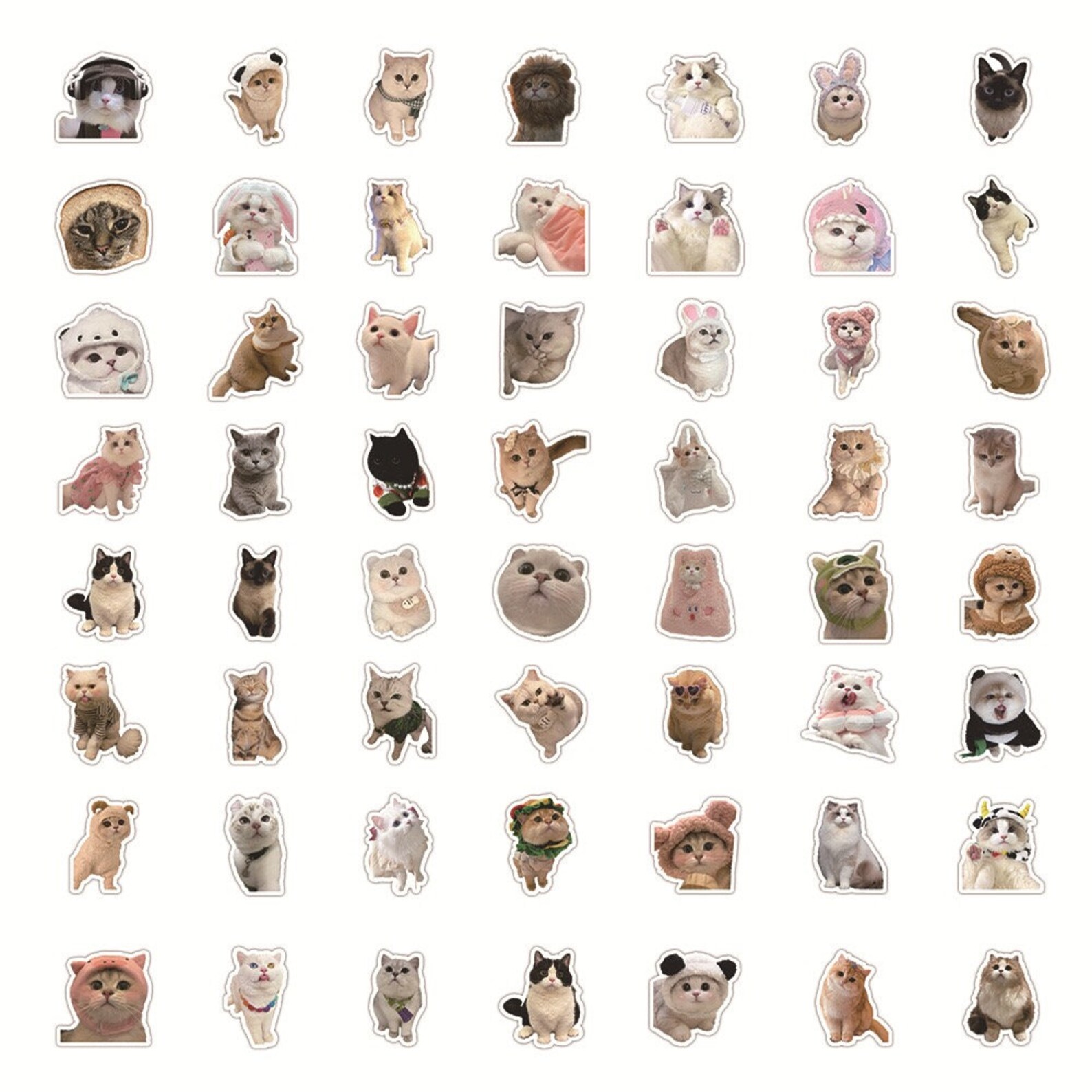 Whimsical Cat/dog Sticker Collection（60 Stickers） - Etsy