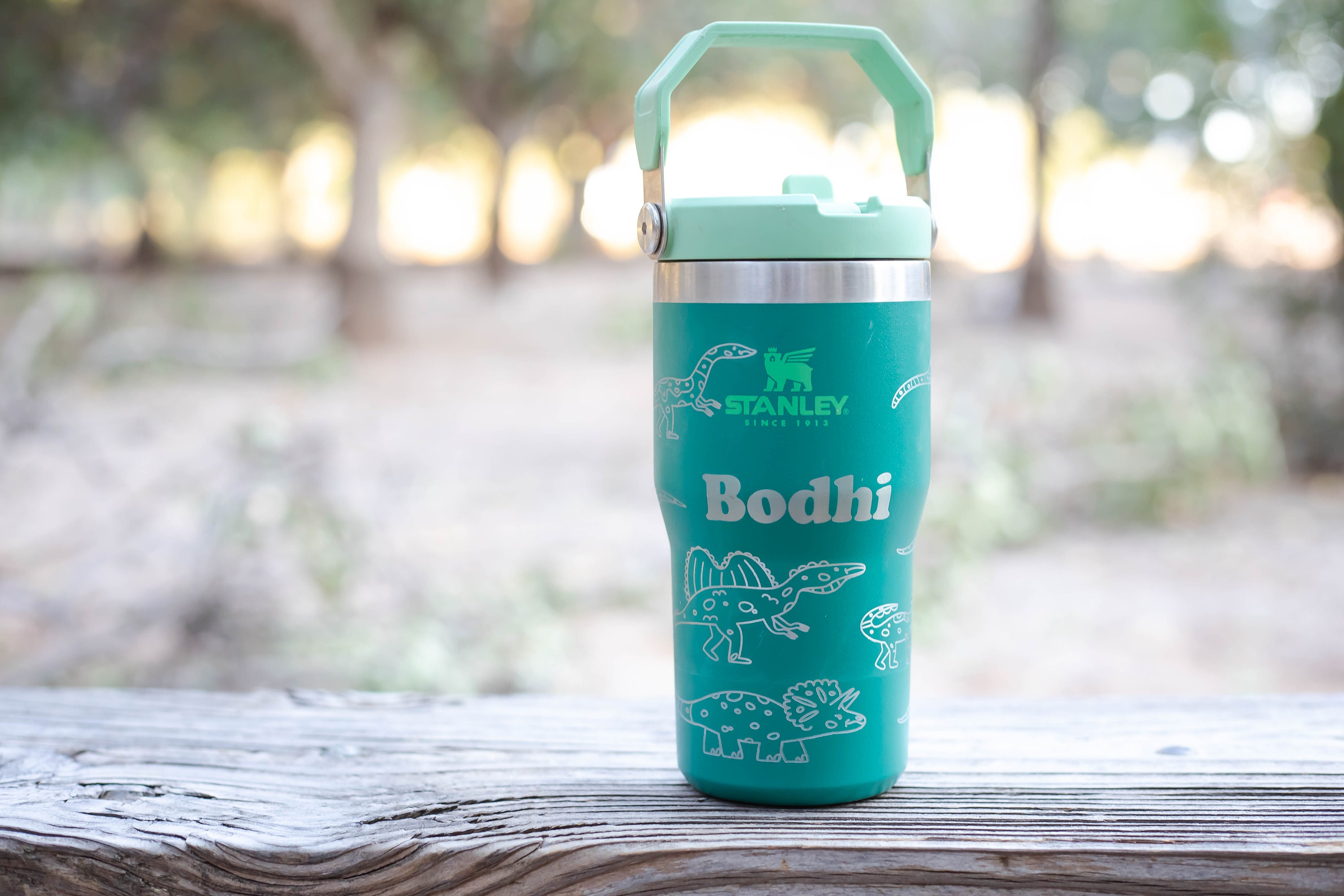 Personalized 20 Oz Kid Stanley Iceflow Stanley for Kid Water Bottle for ...