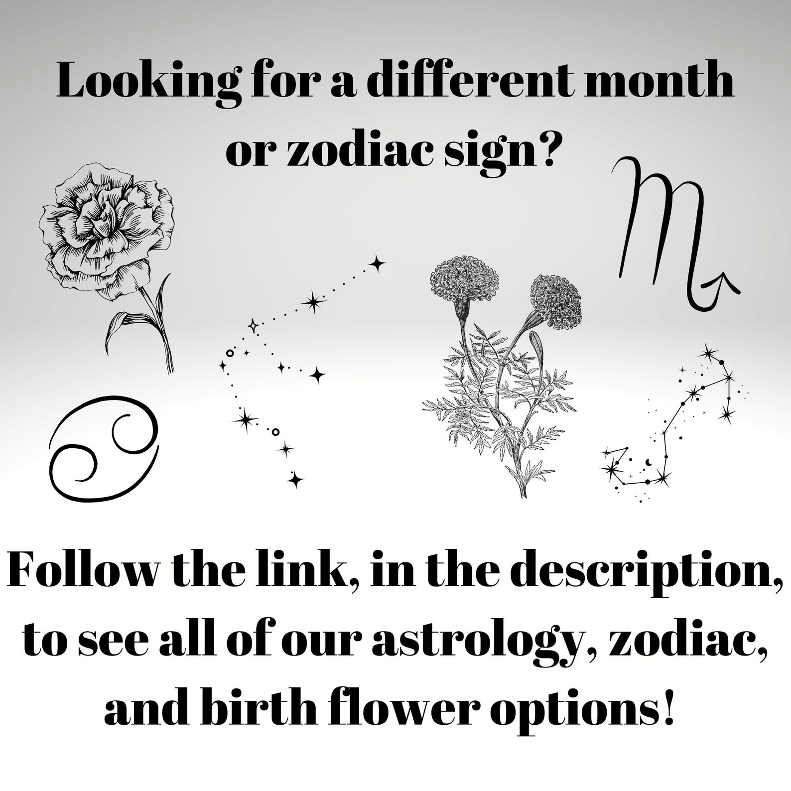 July Birth Flower Cancer Zodiac Larkspur Cancer Zodiac Shirt - Etsy