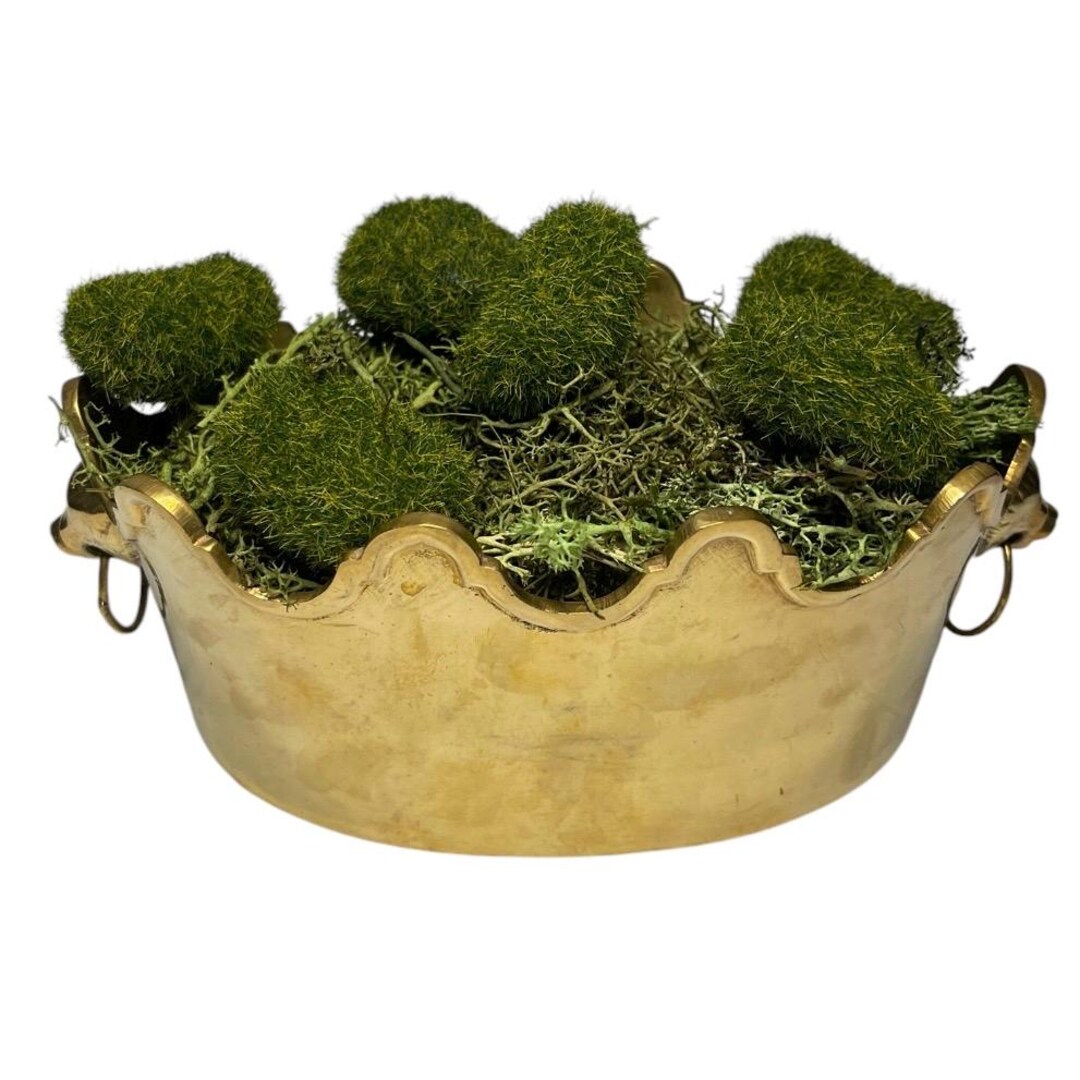 Scalloped Crown Rim 8” Oval Cache Pot With Lion Head Ring Handles ...