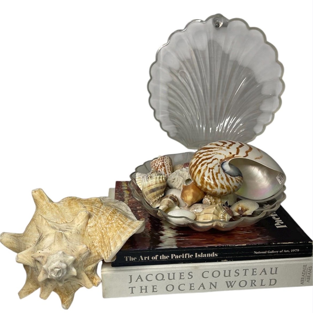 Acrylic Clam Shell 10” Display Bowl, Lucite Shell, Dessert Server ...