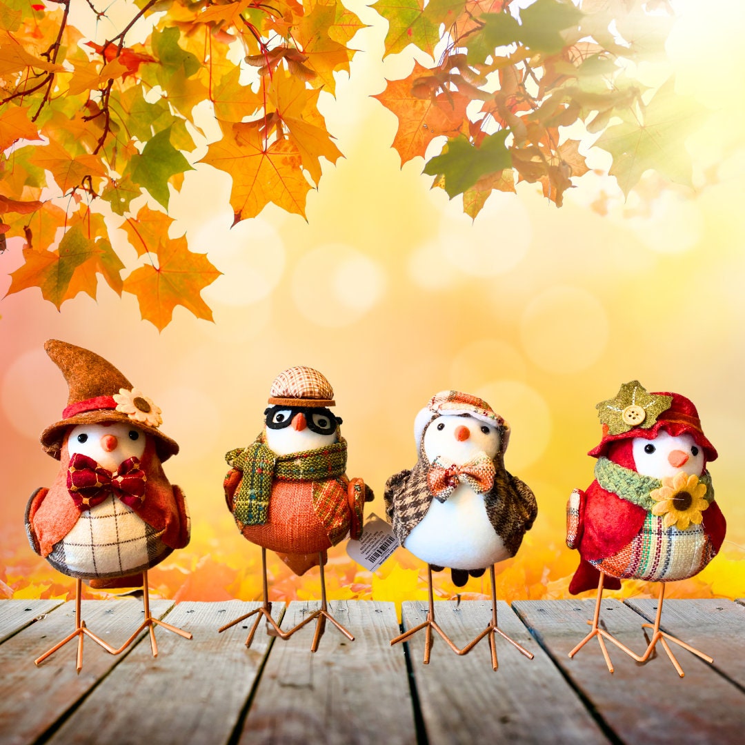 2024 Autumn & Thanksgiving Birds Set of 4 - Etsy