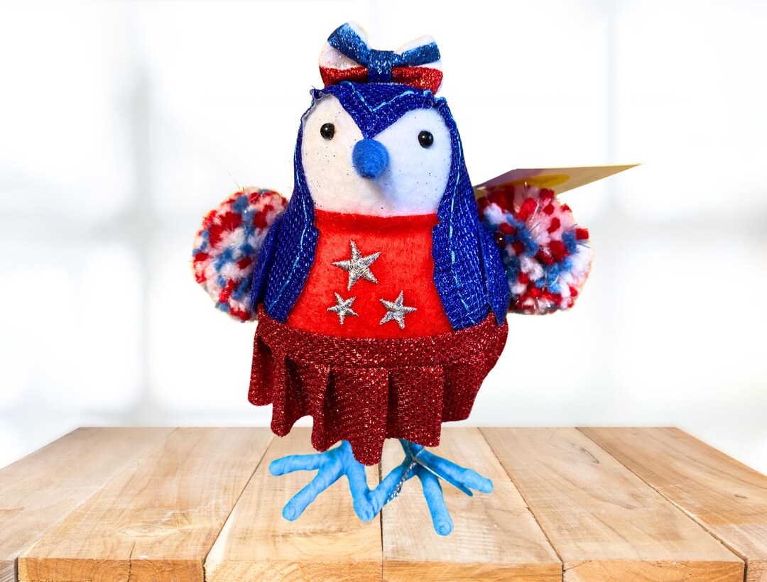 2025 Featherly Friends Red, White, and Blue Girl - Sun Squad - Etsy