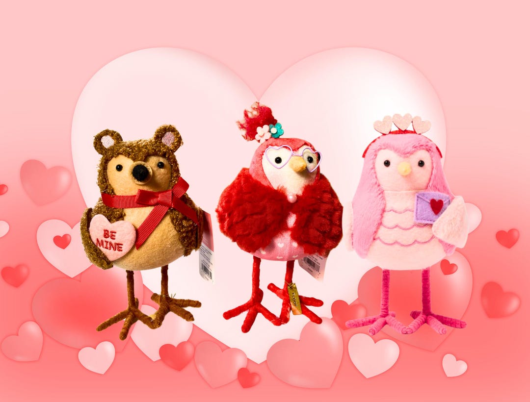 2025 Spritz Featherly Friends Valentine's Day Decorative - Etsy