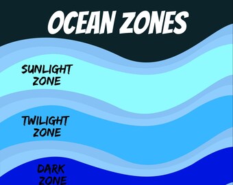 Printable Ocean Zones Diagrams Digital Download Earth Science Marine ...