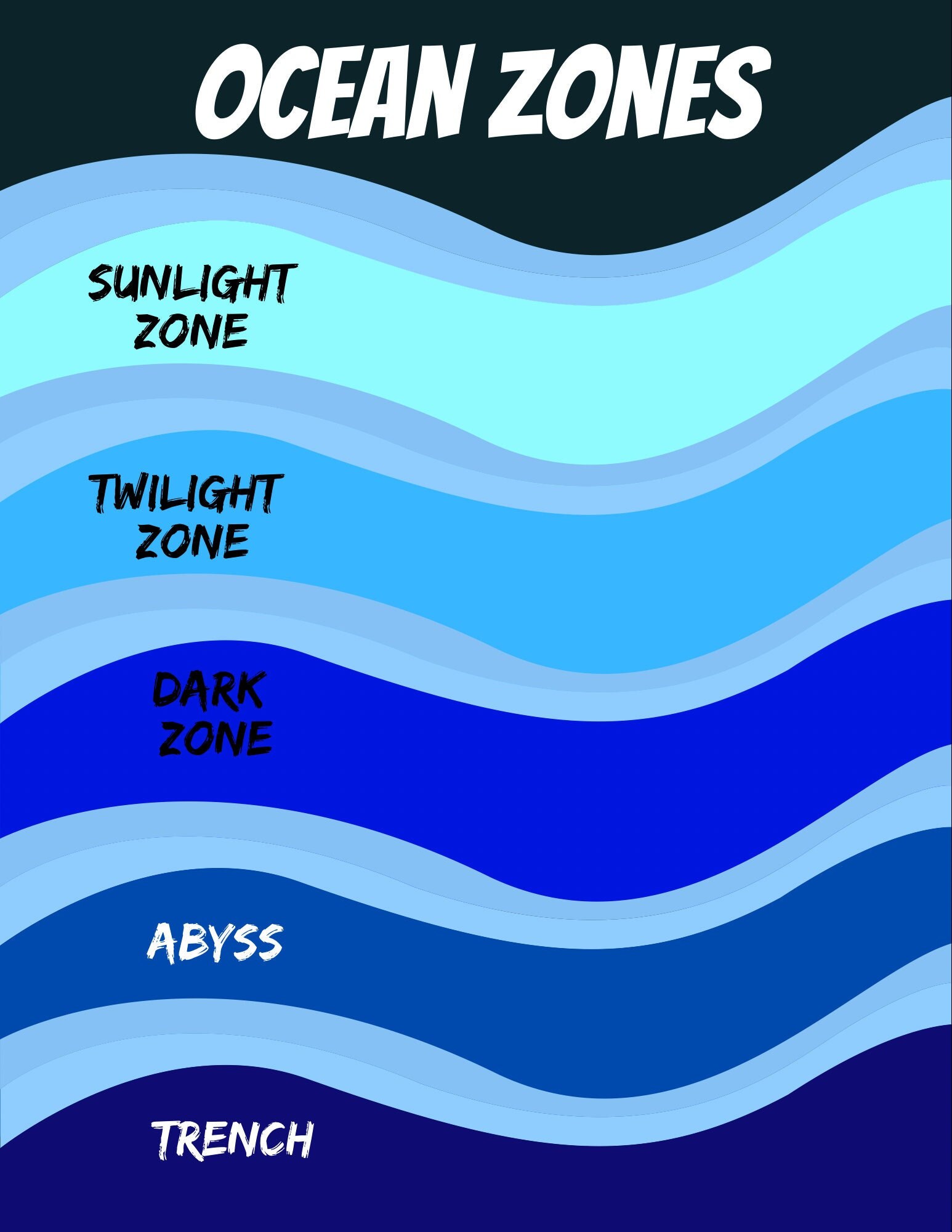 Digital Download for Classroom Ocean Zones - Etsy