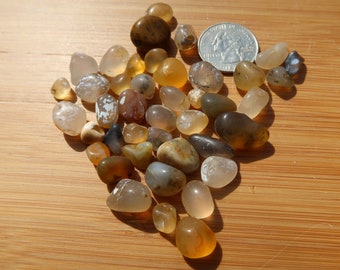 Beach Agates - Etsy