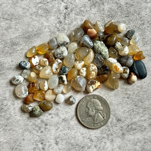 Agates Ocean Rocks Beach Rocks 45 - Etsy