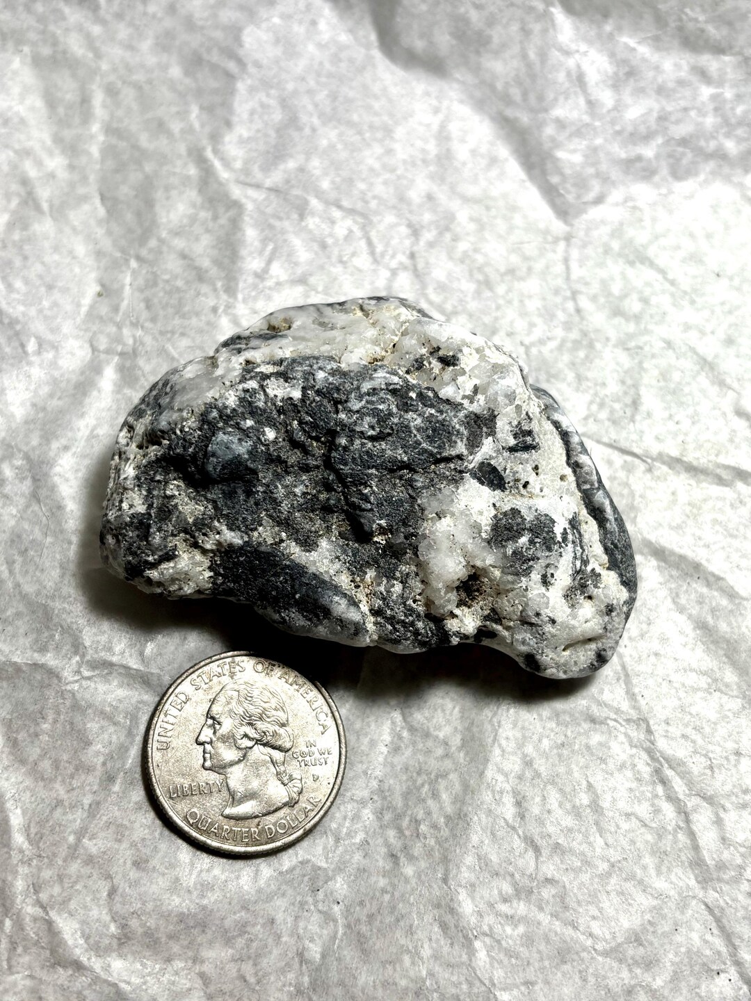 Black & White Quartz Beach Stone, Natural Ocean Tumbled California Rock ...