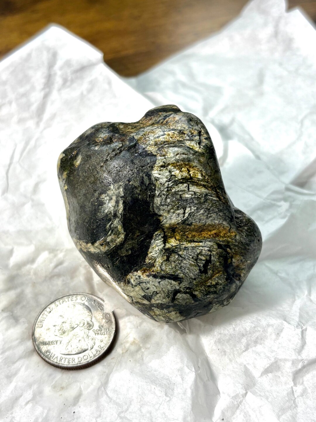 Mount Rainier Volcanic River Rock - Etsy