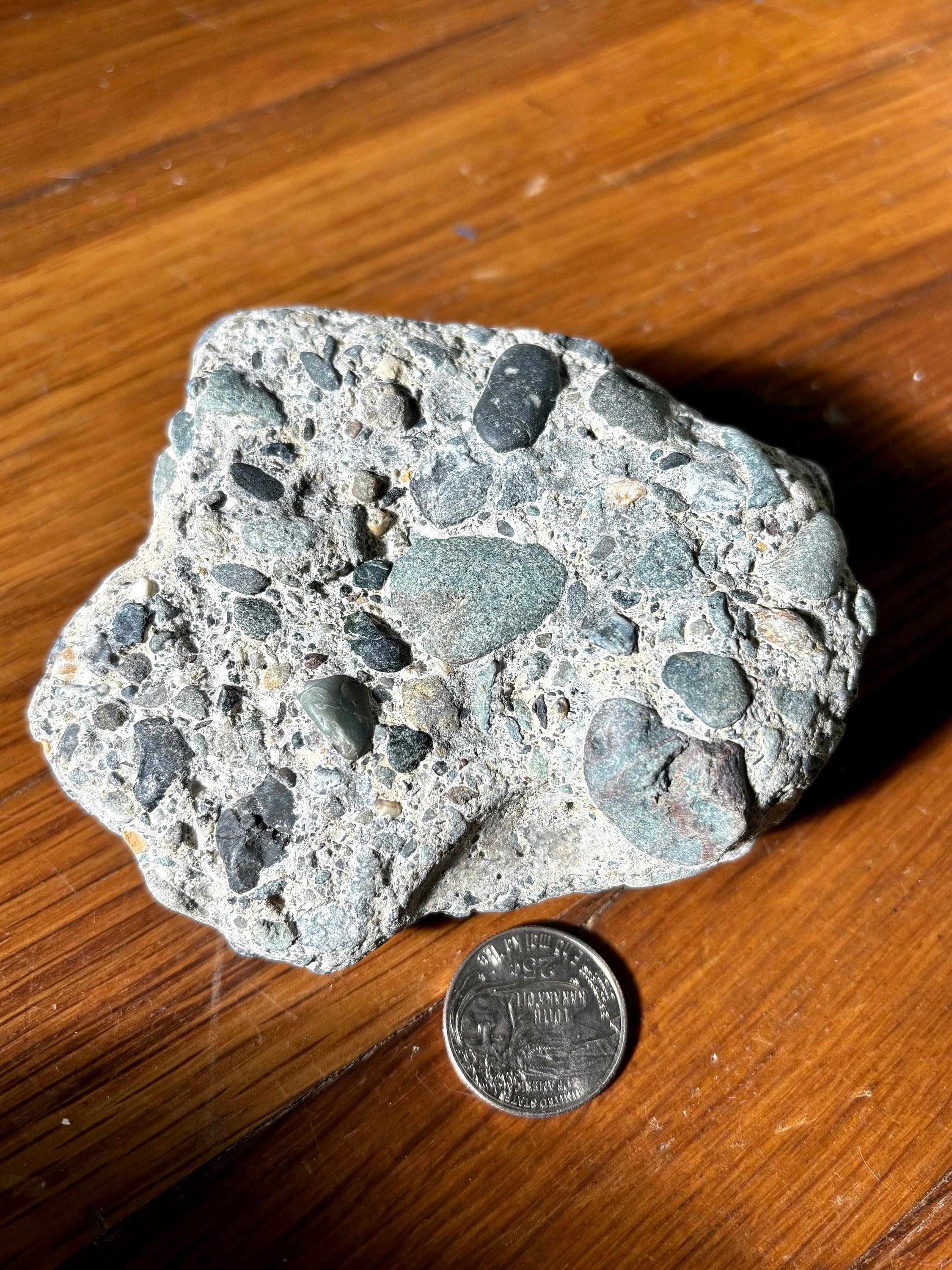 Large Conglomerate Beach Rock - Etsy