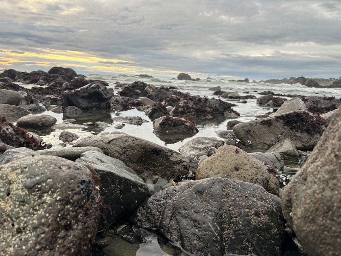 Large Conglomerate Beach Rock - Etsy