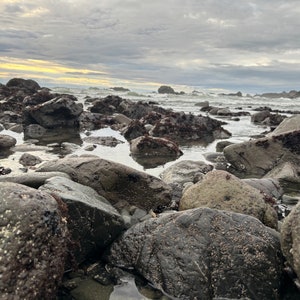 Ocean Rocks - Beach Rocks - Ocean Crystals 59 - Etsy